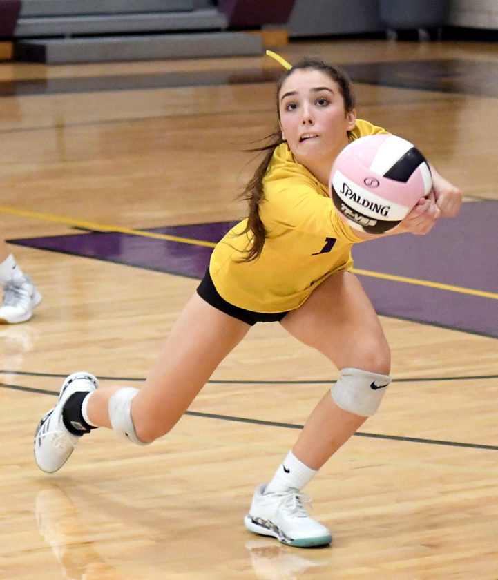 Schwandt, Finucan and Dawson all-NCC on court | News, Sports, Jobs ...